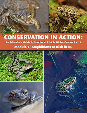 Activity Plans - Great Bear Rainforest | Education and Awareness Trust
