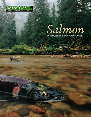 Activity Plans - Great Bear Rainforest | Education and Awareness Trust